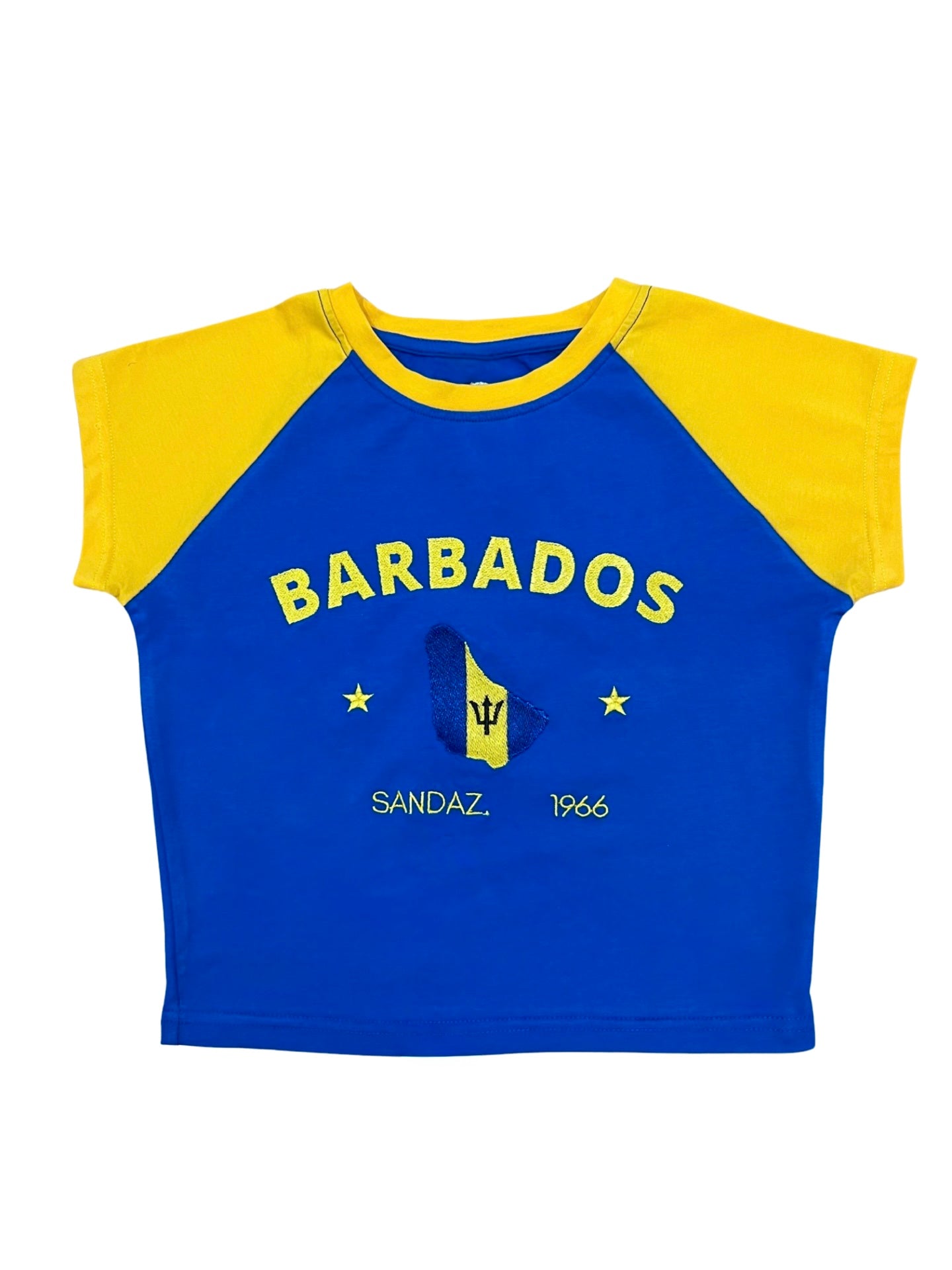 newsletter – sandaz